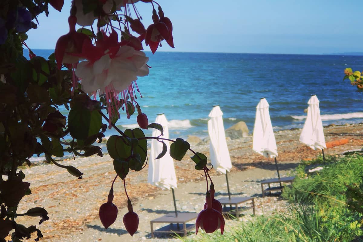 Suíte família, 2 quartos, vista para a praia, no piso térreo | Vista para praia/oceano