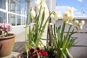 Uma planta em vaso com flores brancas e botões vermelhos sobre um deck de madeira.