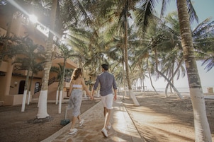 Um caminho bordeado por palmeiras que leva a um edifício com fachada bege.