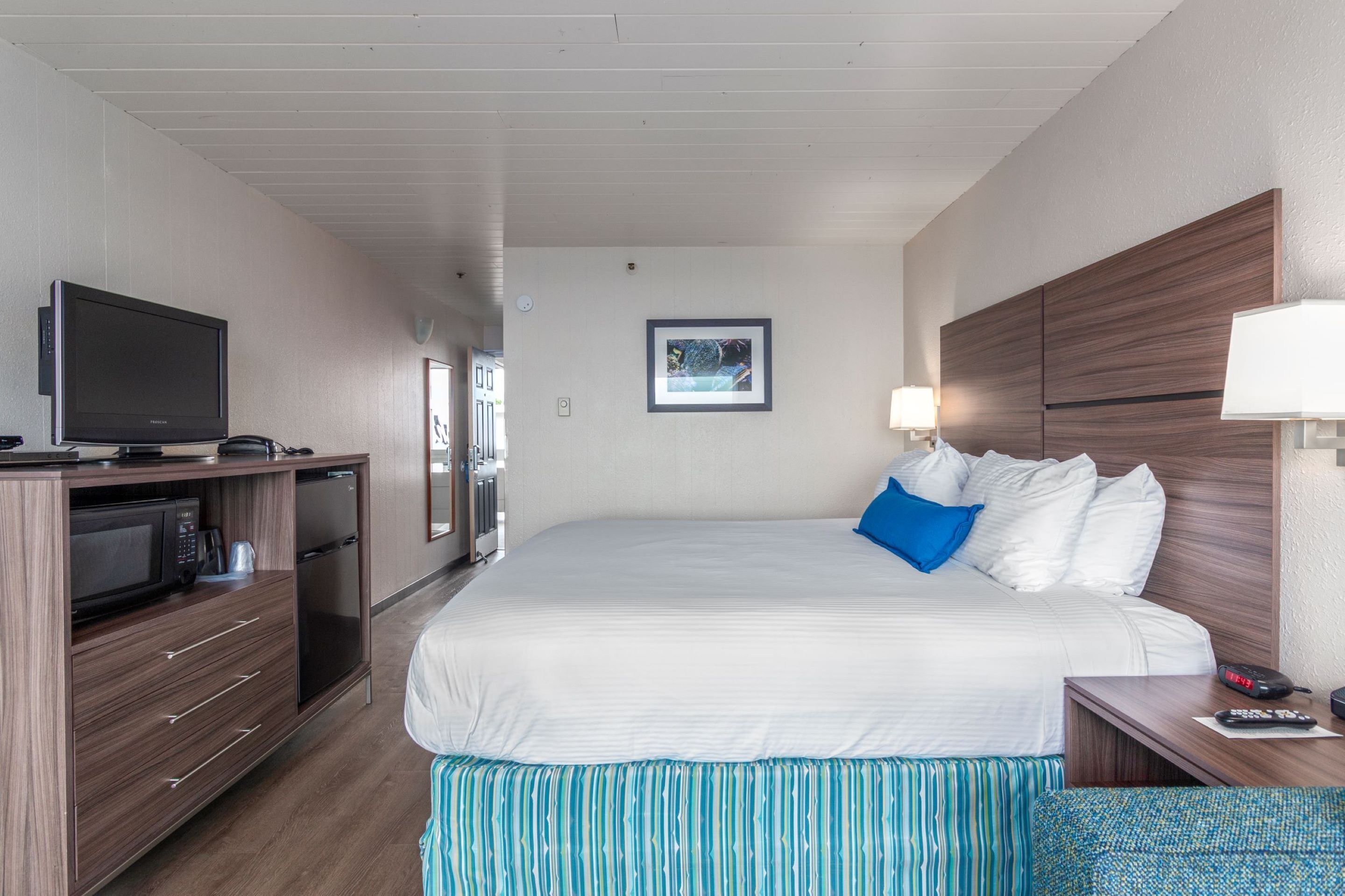 Quarto de hotel com cama, televisão, micro-ondas, mini-geladeira, escrivaninha e mesa de cabeceira.