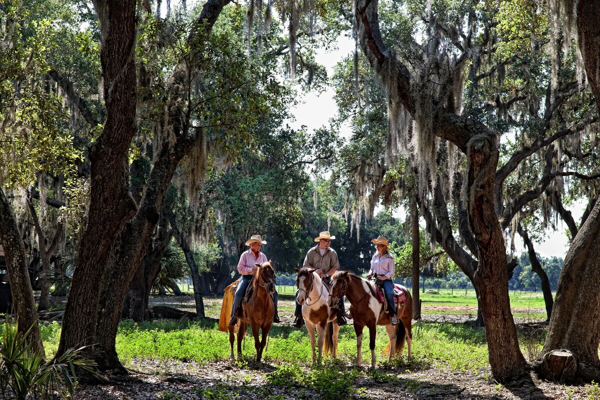 Westgate River Ranch Resort & Rodeo Reviews, Deals & Photos 2026 - Expedia