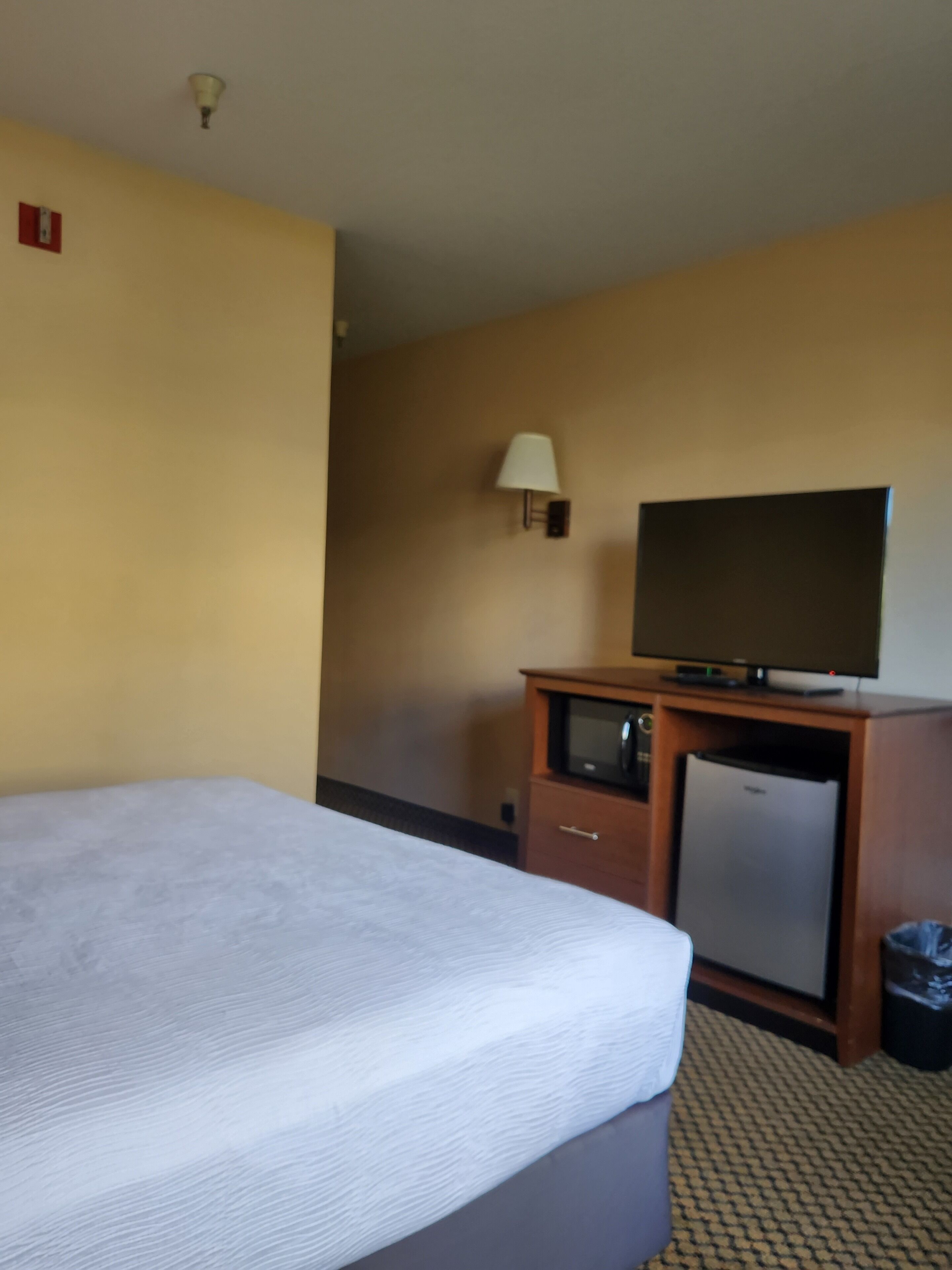 Quarto de hotel com uma cama, televisão em um armário de madeira, micro-ondas e geladeira.