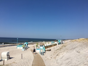 Perto da praia, espreguiçadeiras, guarda-sóis de praia 