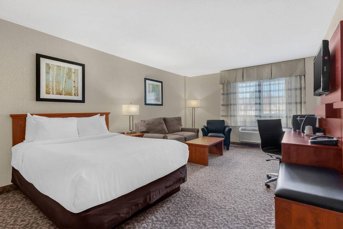 Quarto de hotel com uma cama grande, uma escrivaninha, uma cadeira, um sofá e duas luminárias.