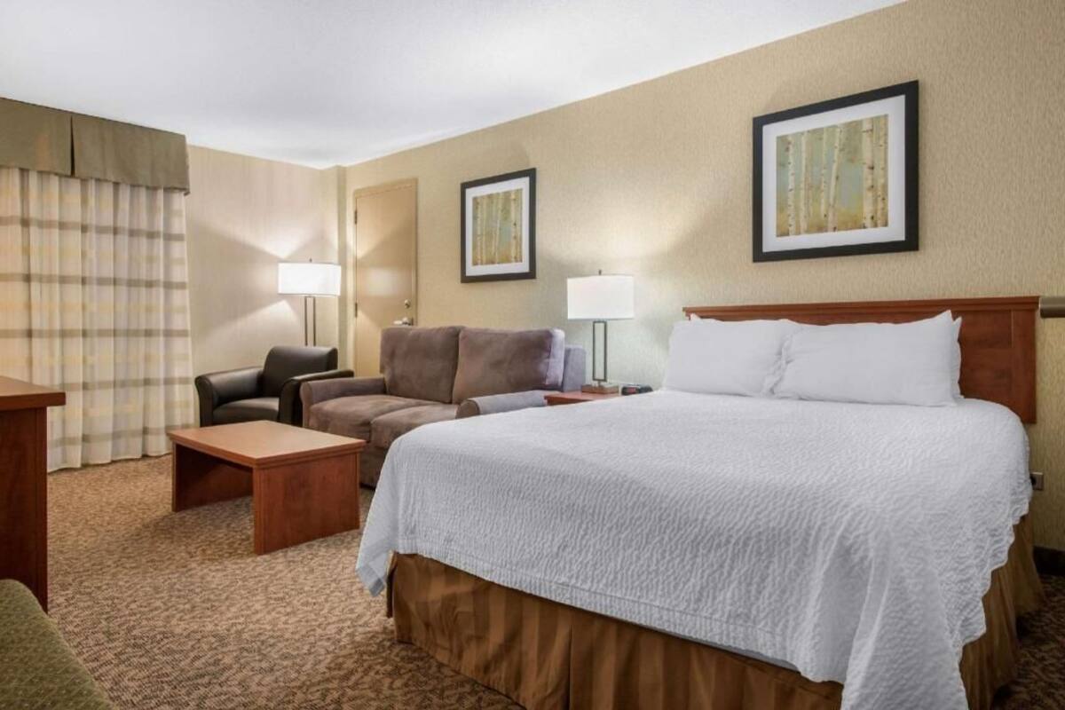 Quarto de hotel com uma cama grande, um sofá, uma escrivaninha e duas luminárias.