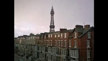 Terraço/pátio interior