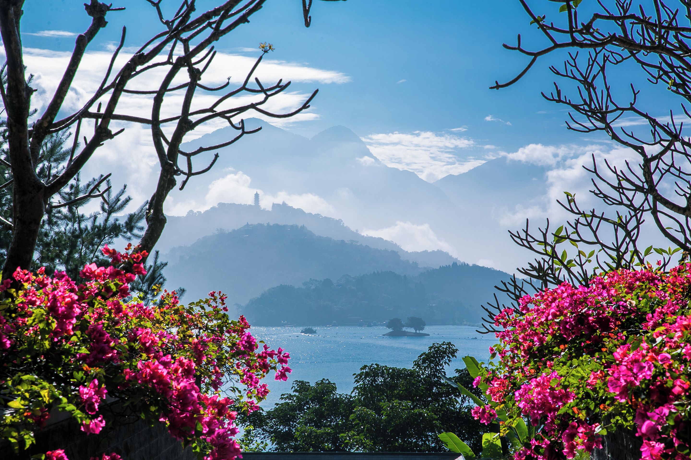 Vista de uma paisagem montanhosa com um corpo d'água ao primeiro plano, cercada por vegetação exuberante e plantas floridas.
