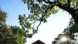 Um edifício com um caminho de tijolos que leva até ele, cercado por árvores e grama.