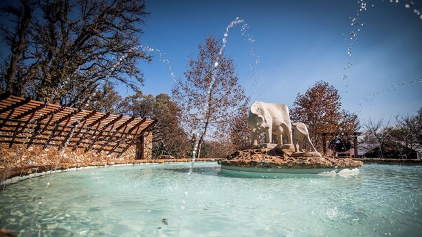 Piscina límpida com uma estrutura de pedra e uma estátua de urso.