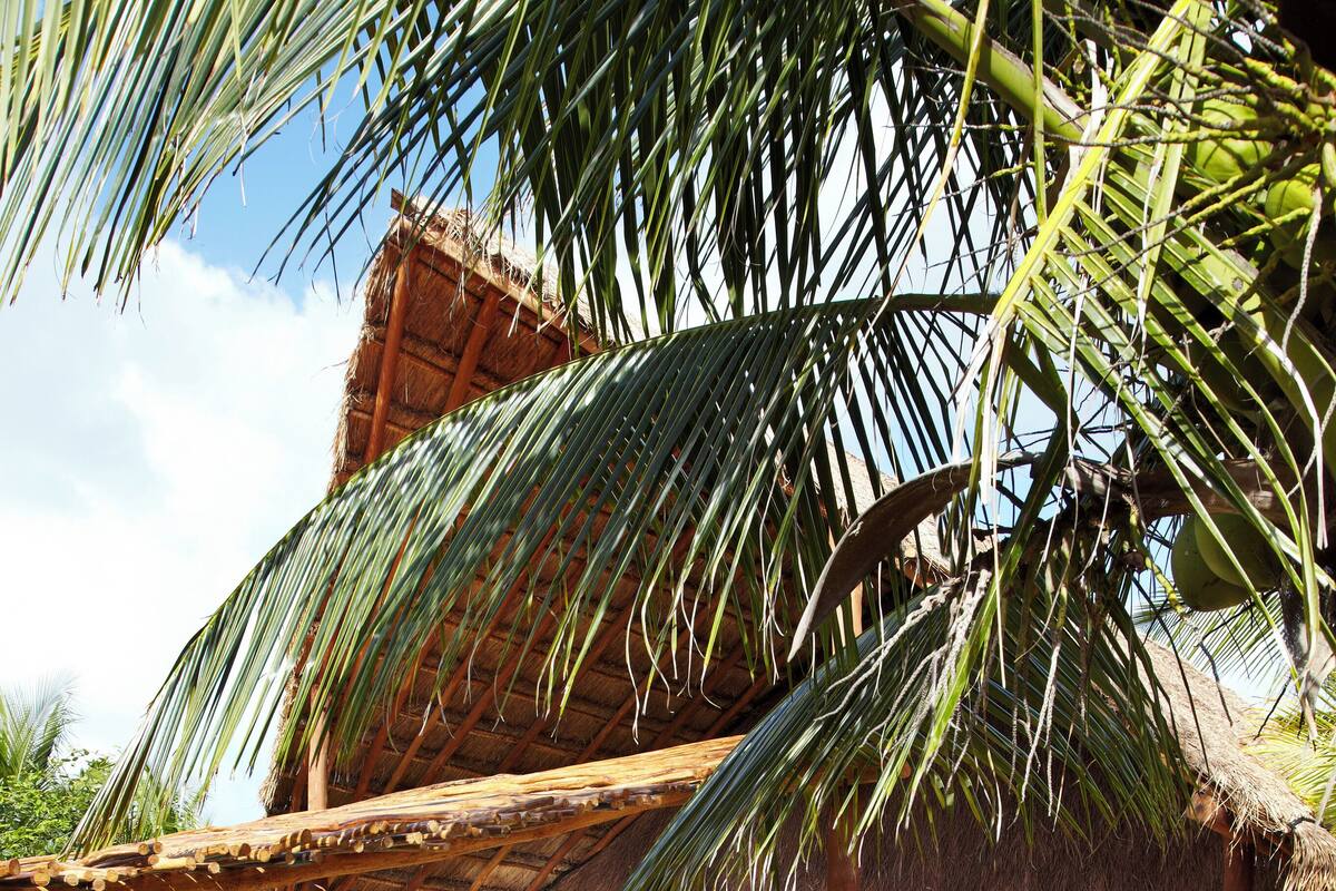 Área externa com telhado de palha, piscina, espreguiçadeiras e mesa de jantar.