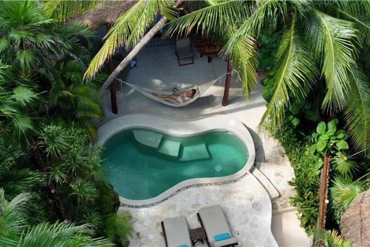 Piscina privativa rodeada por vegetação exuberante, com uma rede e espreguiçadeiras por perto.