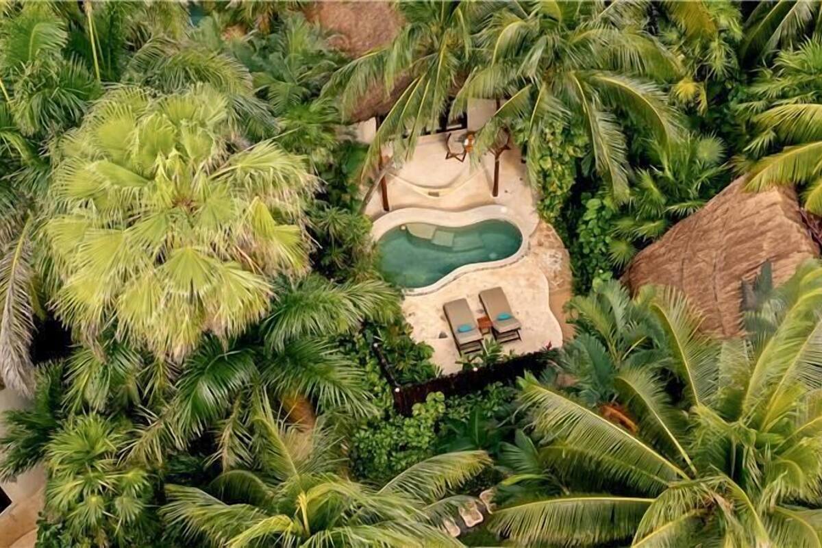 Vista aérea de um resort tropical com uma piscina rodeada por palmeiras exuberantes.