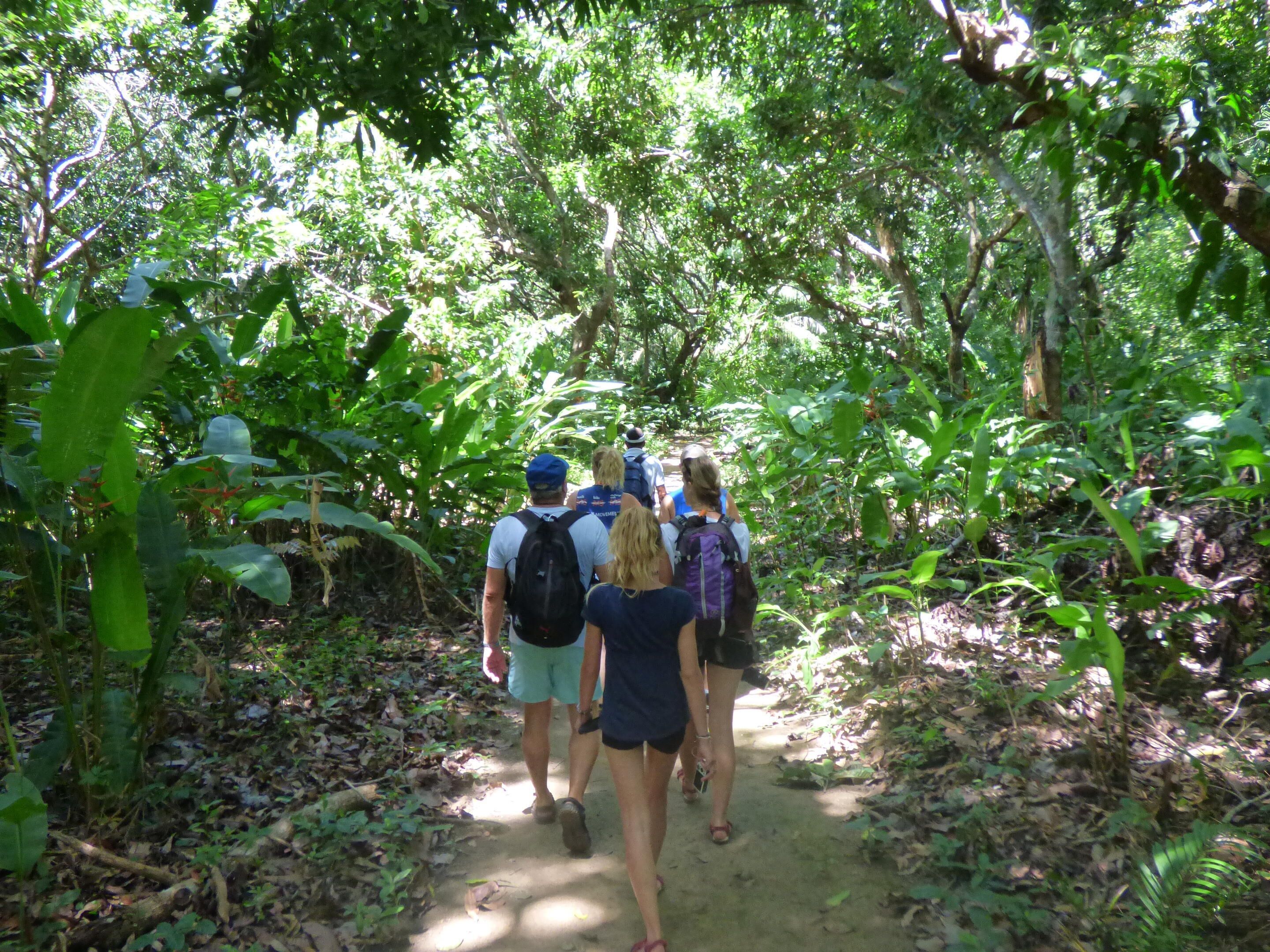 Um grupo de pessoas caminhando por uma trilha de terra em meio a folhagem verde densa.