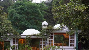 Uma casa tradicional em estilo japonês com varanda coberta, rodeada por vegetação exuberante e um jardim bem cuidado.