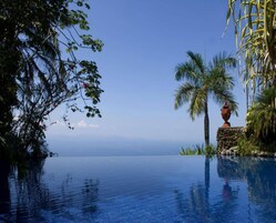 Visão nítida de uma piscina com uma estrutura de pedra e uma palmeira à direita, cercada por vegetação exuberante.