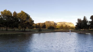Um parque tranquilo com lago, árvores e uma montanha ao longe.