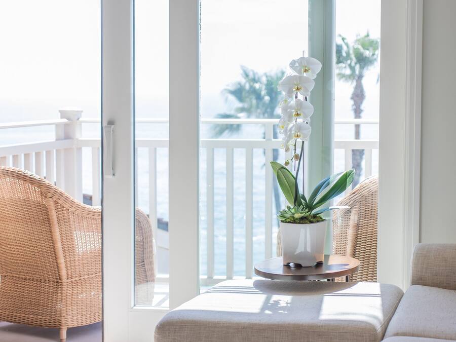 Quarto com porta de vidro deslizante que dá para uma varanda, uma cadeira de vime, um banco acolchoado e uma orquídea em vaso.