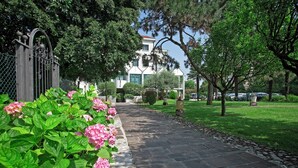 Uma trilha de pedra leva a um edifício branco com varanda, cercado por vegetação exuberante e plantas floridas.