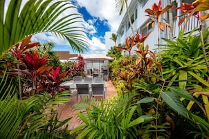Jardim