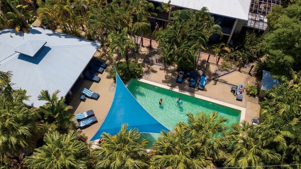 Uma área de piscina cercada por palmeiras e espreguiçadeiras, com um edifício ao fundo.