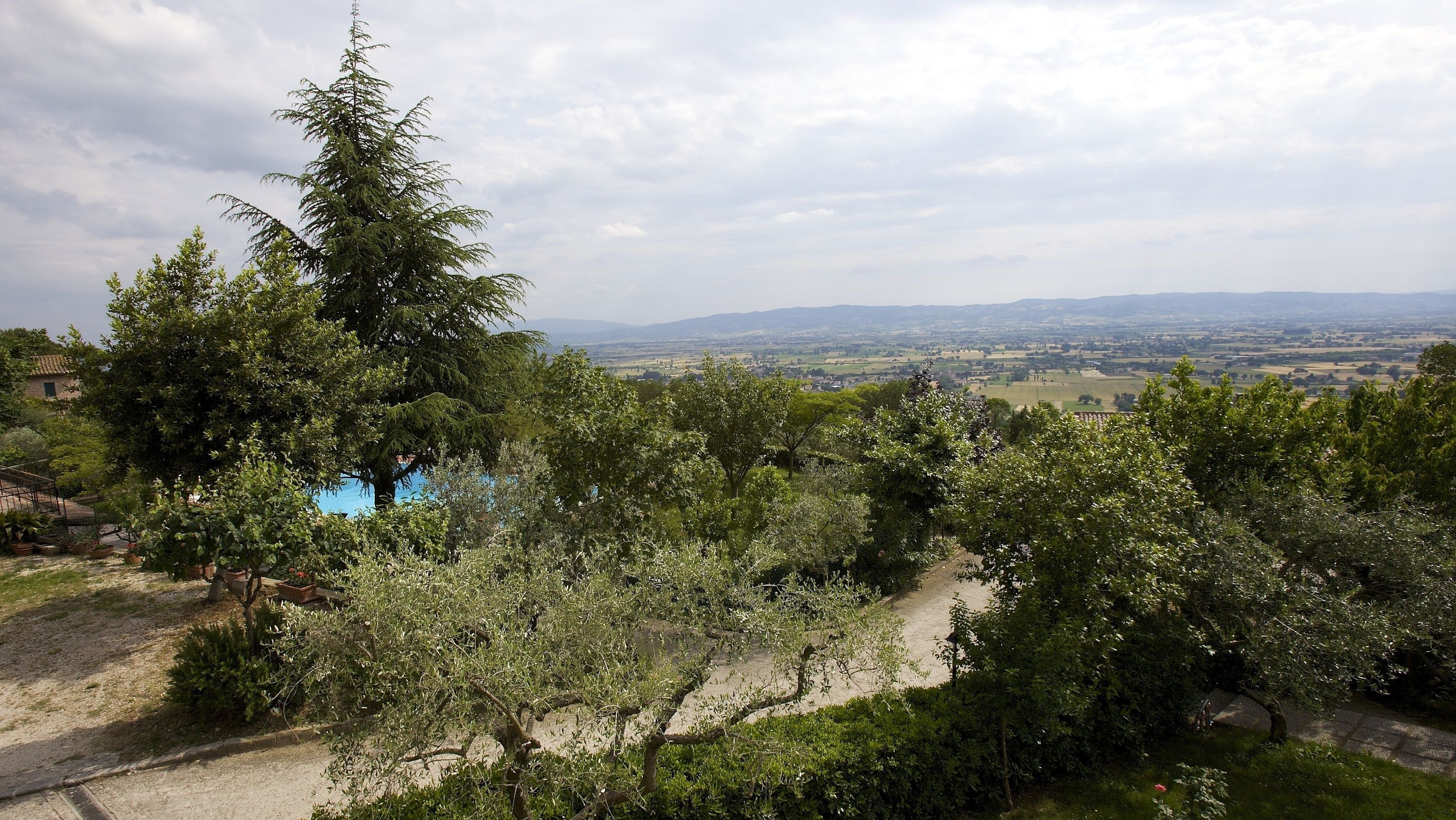 Vista de uma paisagem exuberante, com árvores e uma colina distante.