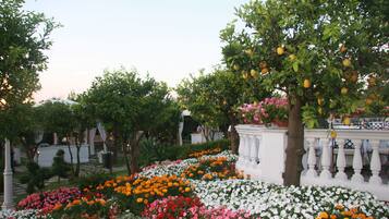 Um jardim com diversas flores e uma árvore cheia de frutos.