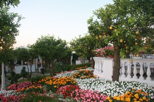 Um jardim com diversas flores e uma árvore cheia de frutos.
