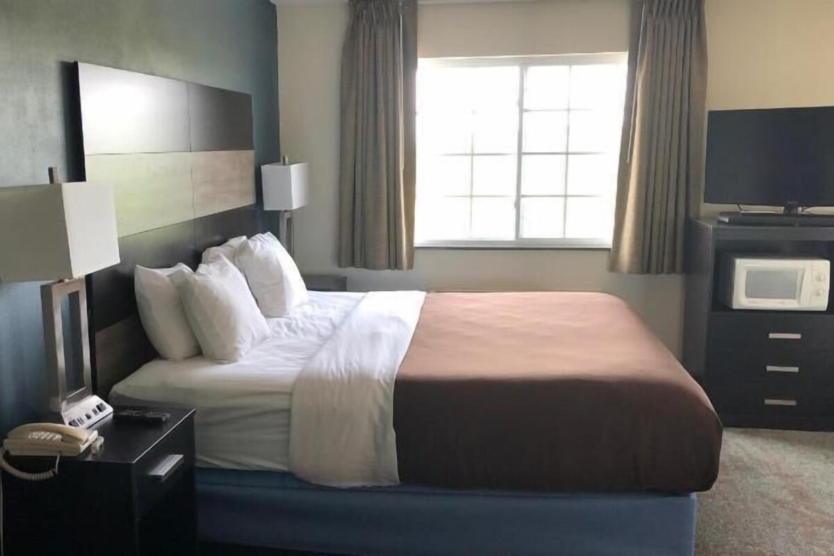 Quarto de hotel com cama, mesa de cabeceira, luminária, TV e janela com cortinas.