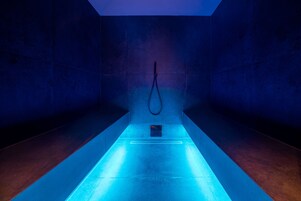 Sauna seca, sauna a vapor