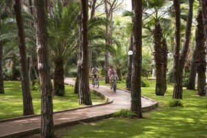 Jardim