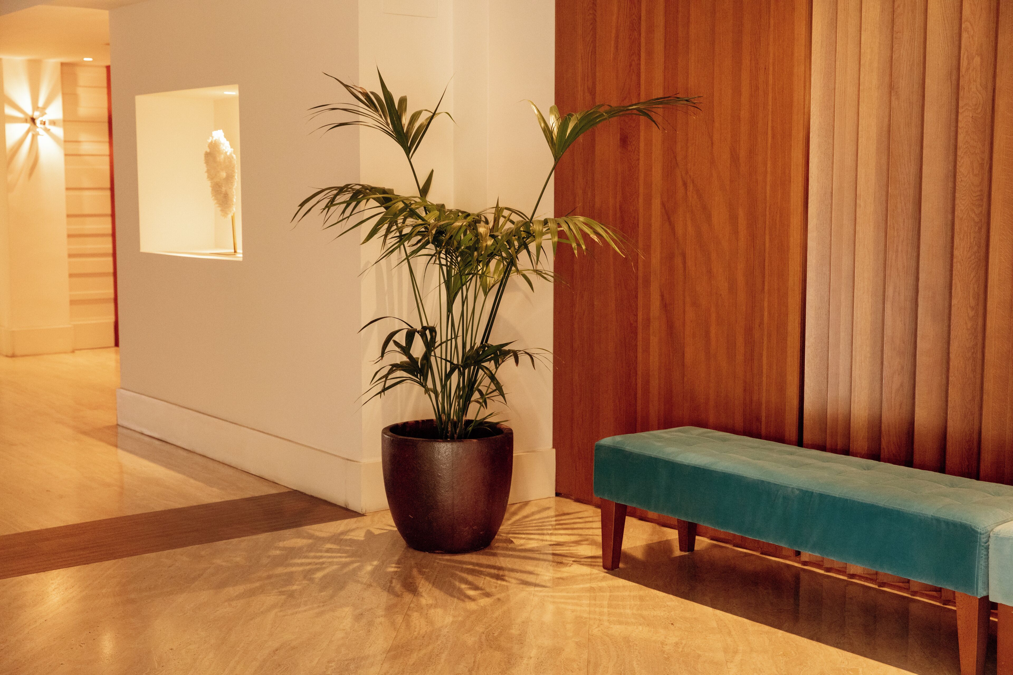 Uma área de recepção com um banco de madeira, uma grande planta em vaso e uma obra de arte emoldurada na parede.