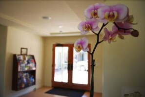 Entrada (vista interna)