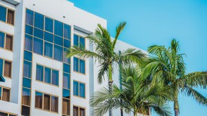Um edifício moderno com várias janelas e palmeiras na frente.