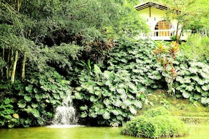 Um jardim exuberante com uma cascata, vegetação densa e um edifício com varanda.
