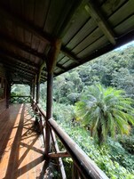 Um deck de madeira com vista para uma floresta densa.