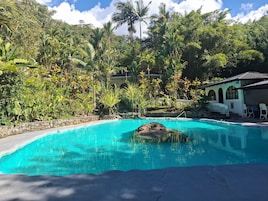 Uma piscina com água azul cristalina, rodeada por vegetação tropical exuberante e um muro de pedra.