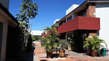 Vista para o jardim