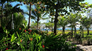Jardim