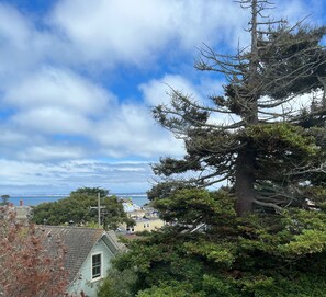 Book Centrella Hotel, A Kirkwood Collection Hotel in Pacific Grove ...