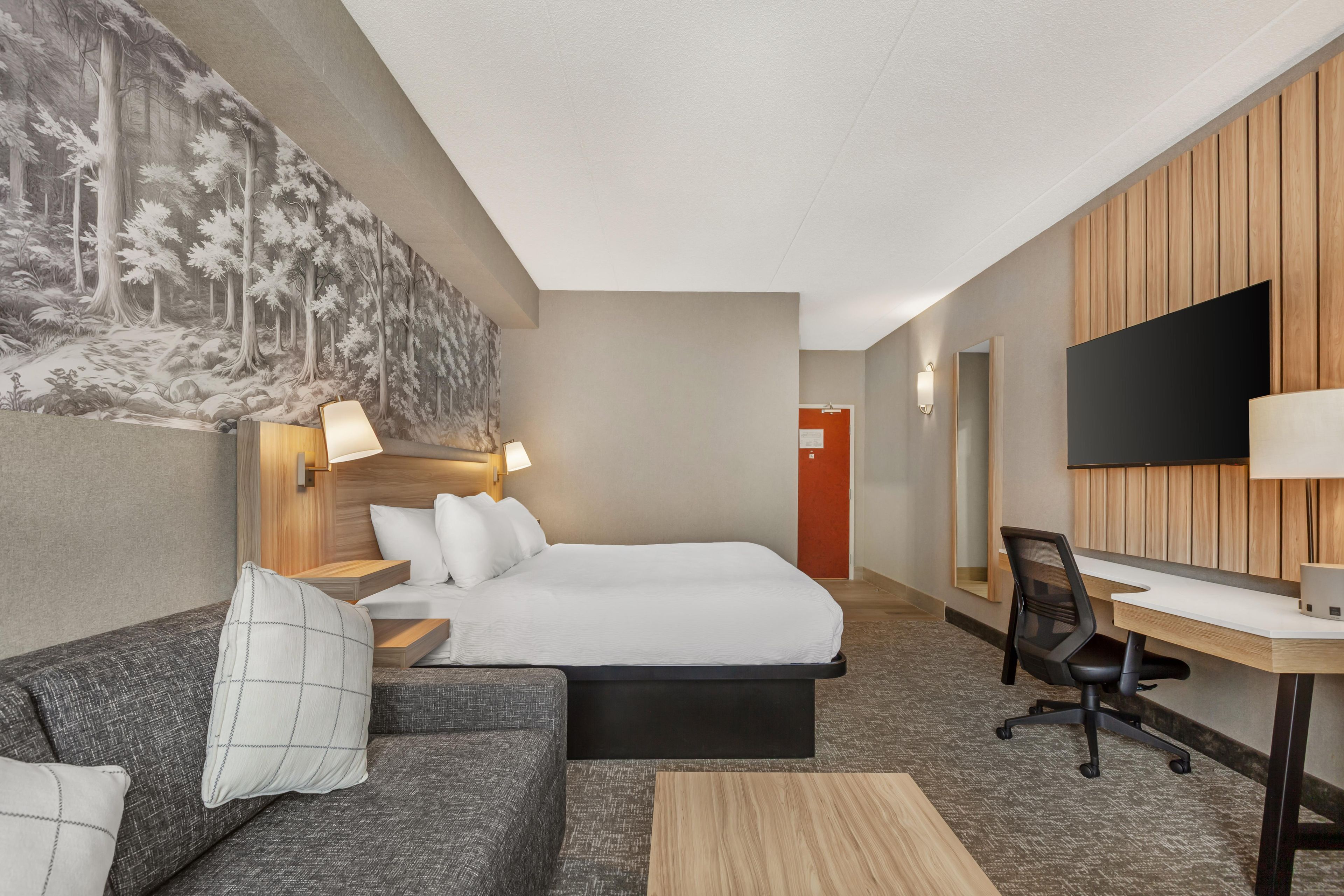 Quarto de hotel com uma cama, escrivaninha, poltrona, sofá e televisão.