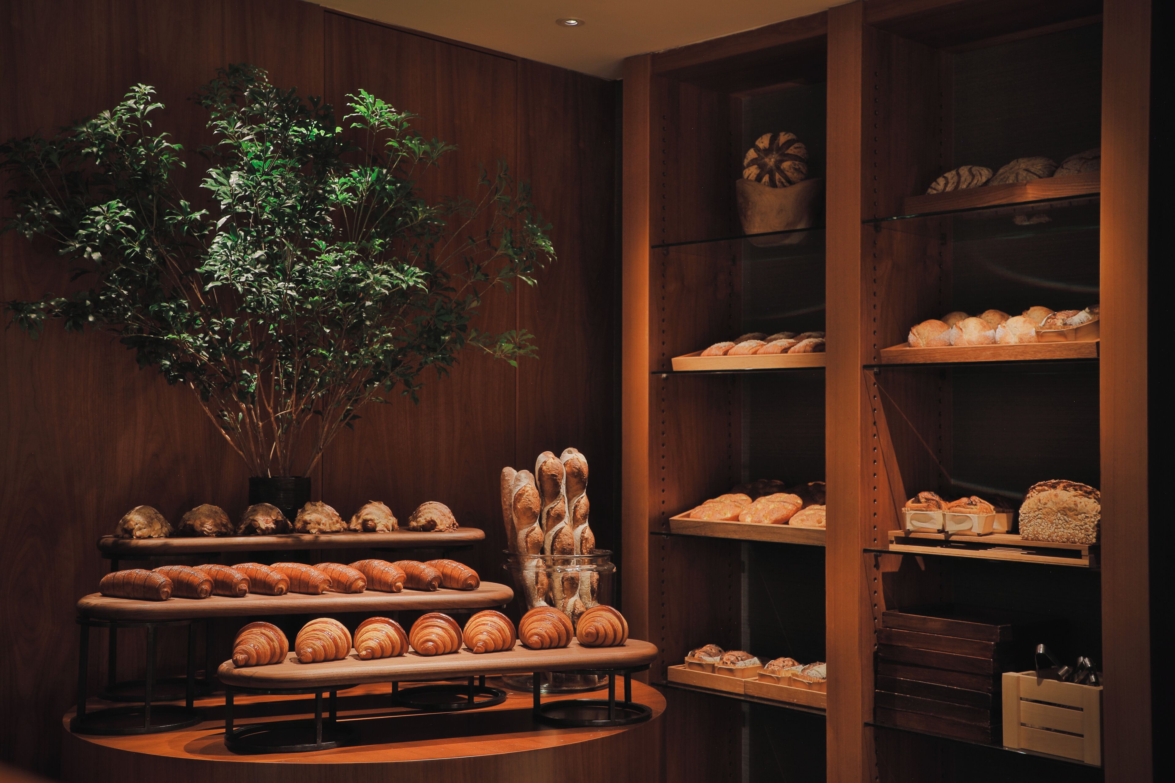 Vitrine de pastelaria com diversos produtos de panificação e um vaso de planta.