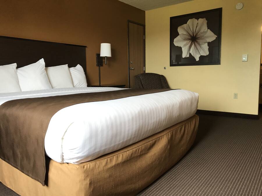Quarto de hotel com cama grande, uma cadeira, um abajur e um quadro de flores na parede.