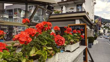 Terrenos do alojamento