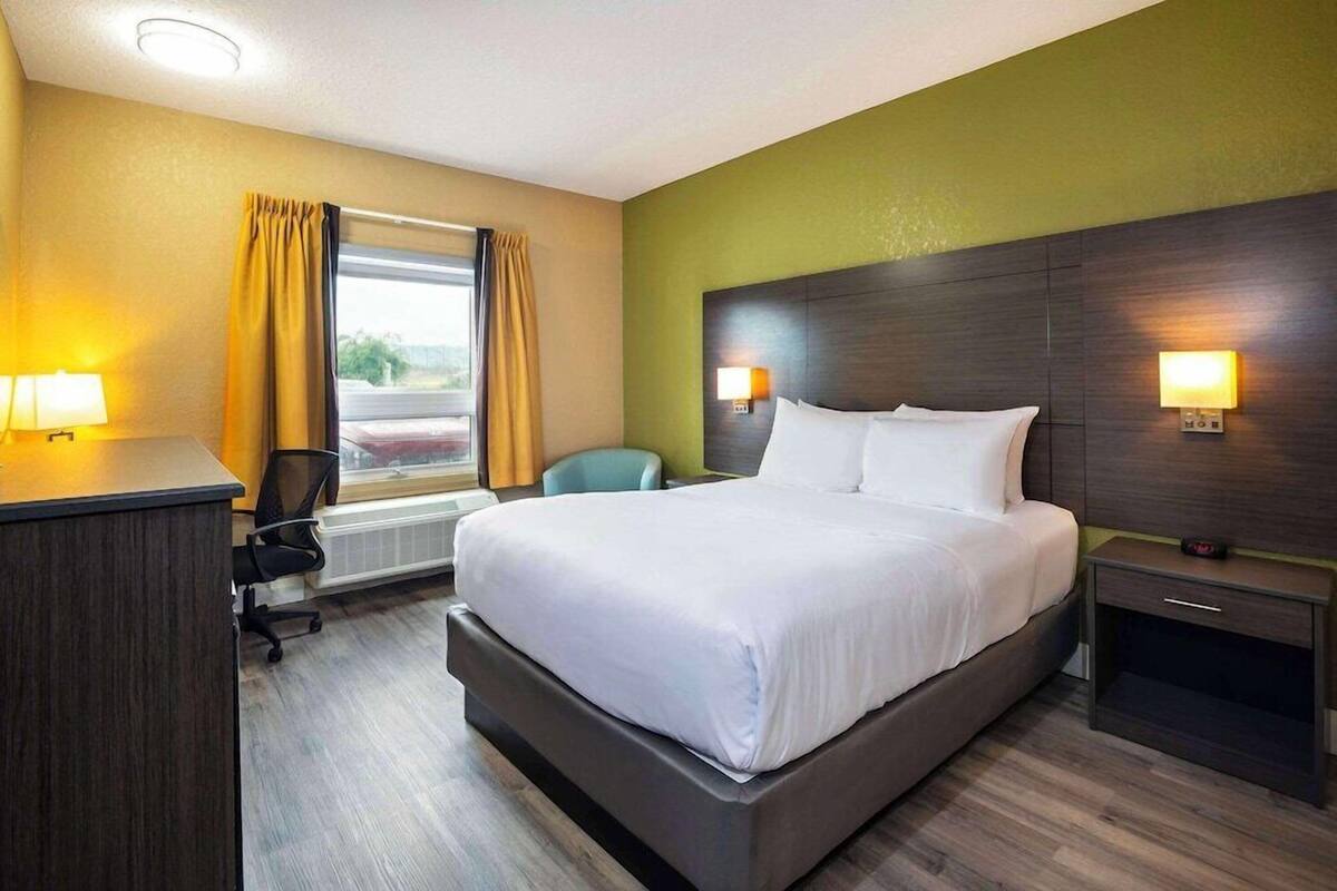 Quarto de hotel com cama, escrivaninha, cadeira e duas luminárias de cabeceira.