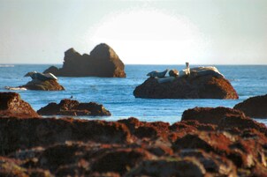 Perto da praia 