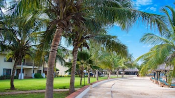 Entrada (vista interna)
