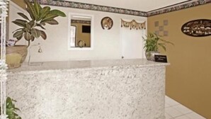 Uma área de recepção com balcão de mármore, plantas em vasos e um espelho.