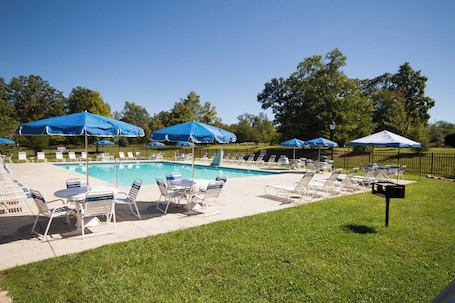 Piscina interna, 2 piscinas externas, espreguiƧadeiras