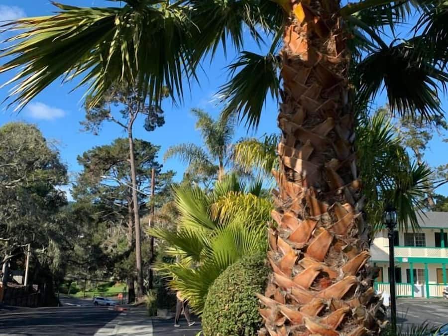 Terrenos do alojamento