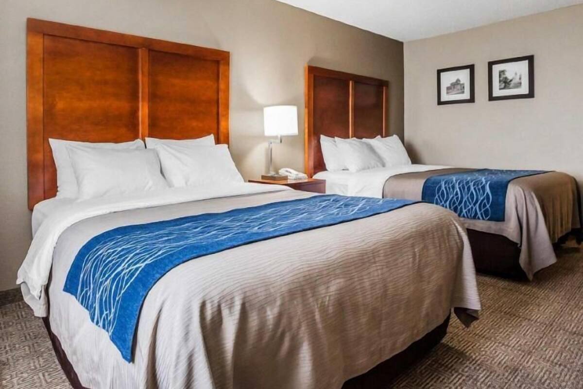 Quarto de hotel com duas camas, cabeceiras de madeira, uma mesinha de cabeceira com abajur e dois quadros na parede.